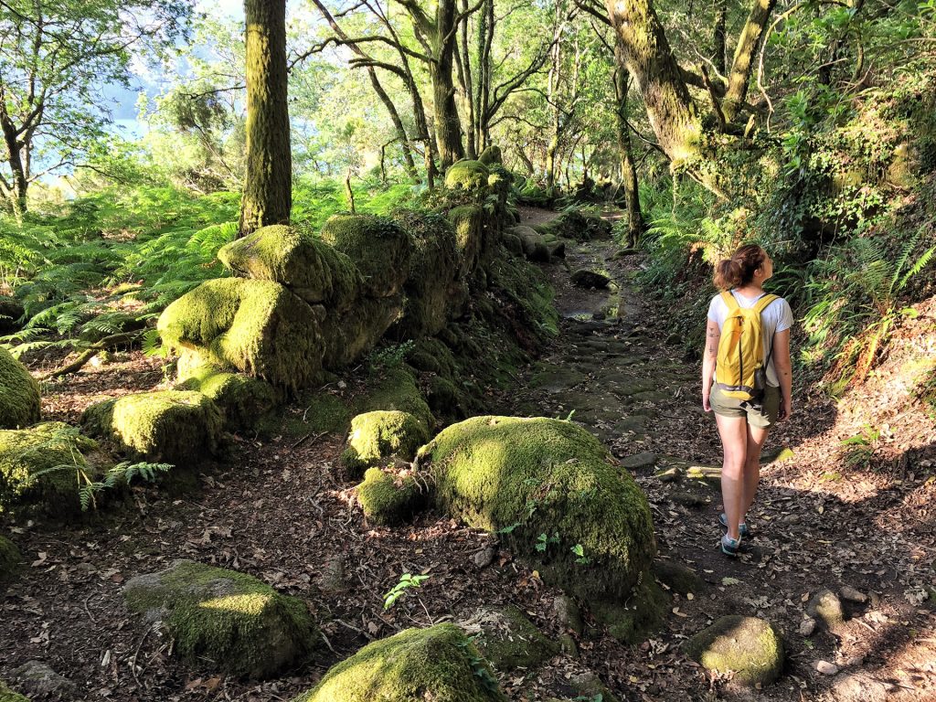 Portugal: Geheimtipp Nationalpark - Peneda-Gerês • RonnyRakete.de