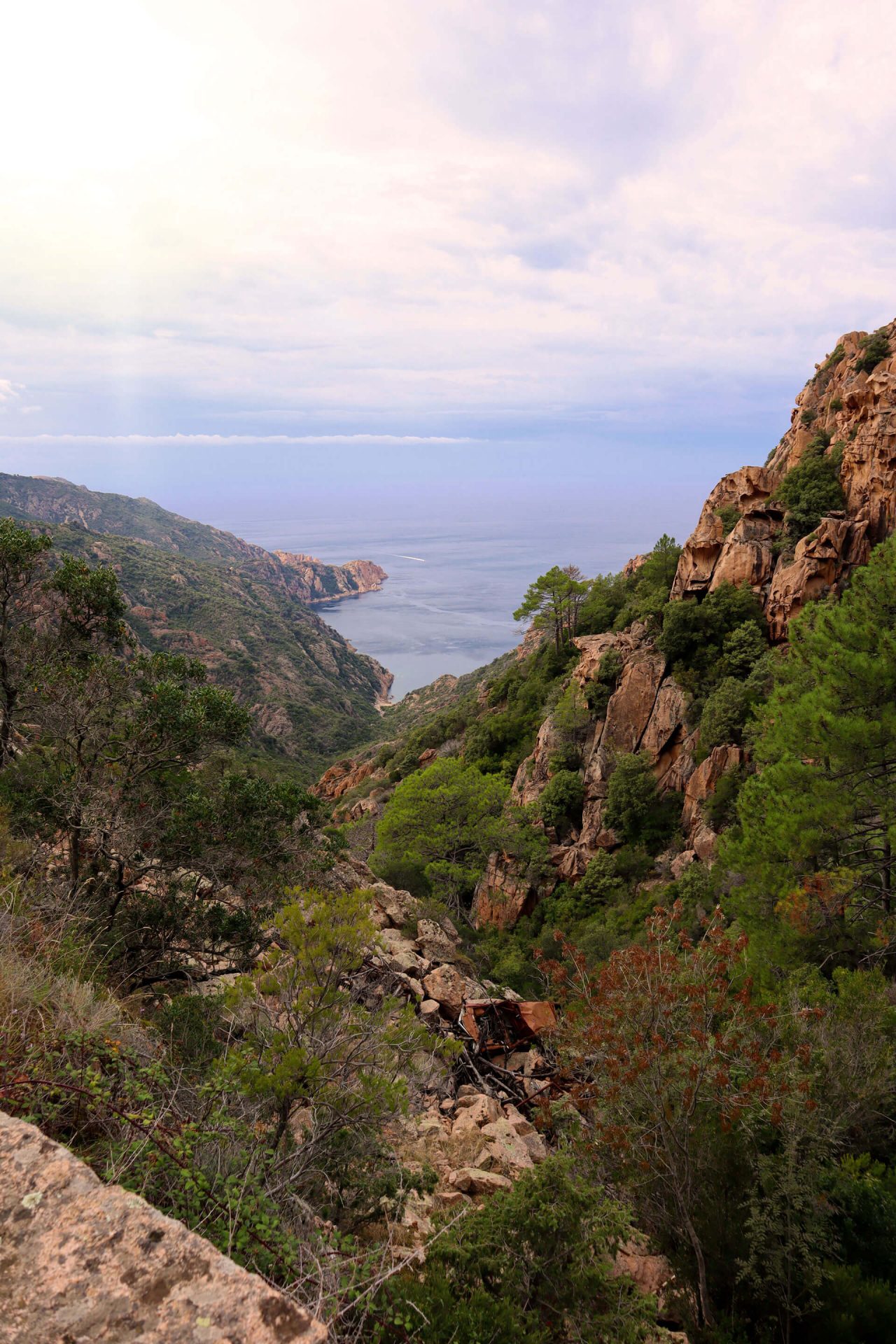 Wandertipp: Auf den roten Klippen von Korsika • Calanche di Piana